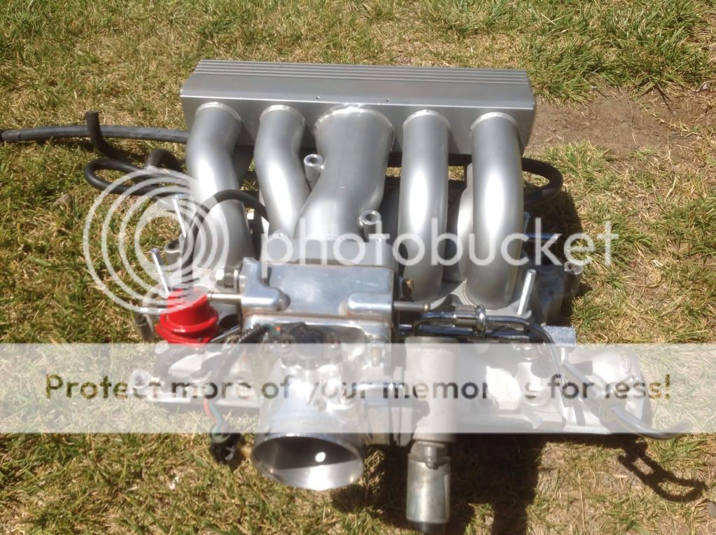 Gt40 tubular intake | Ford Mustang Forums