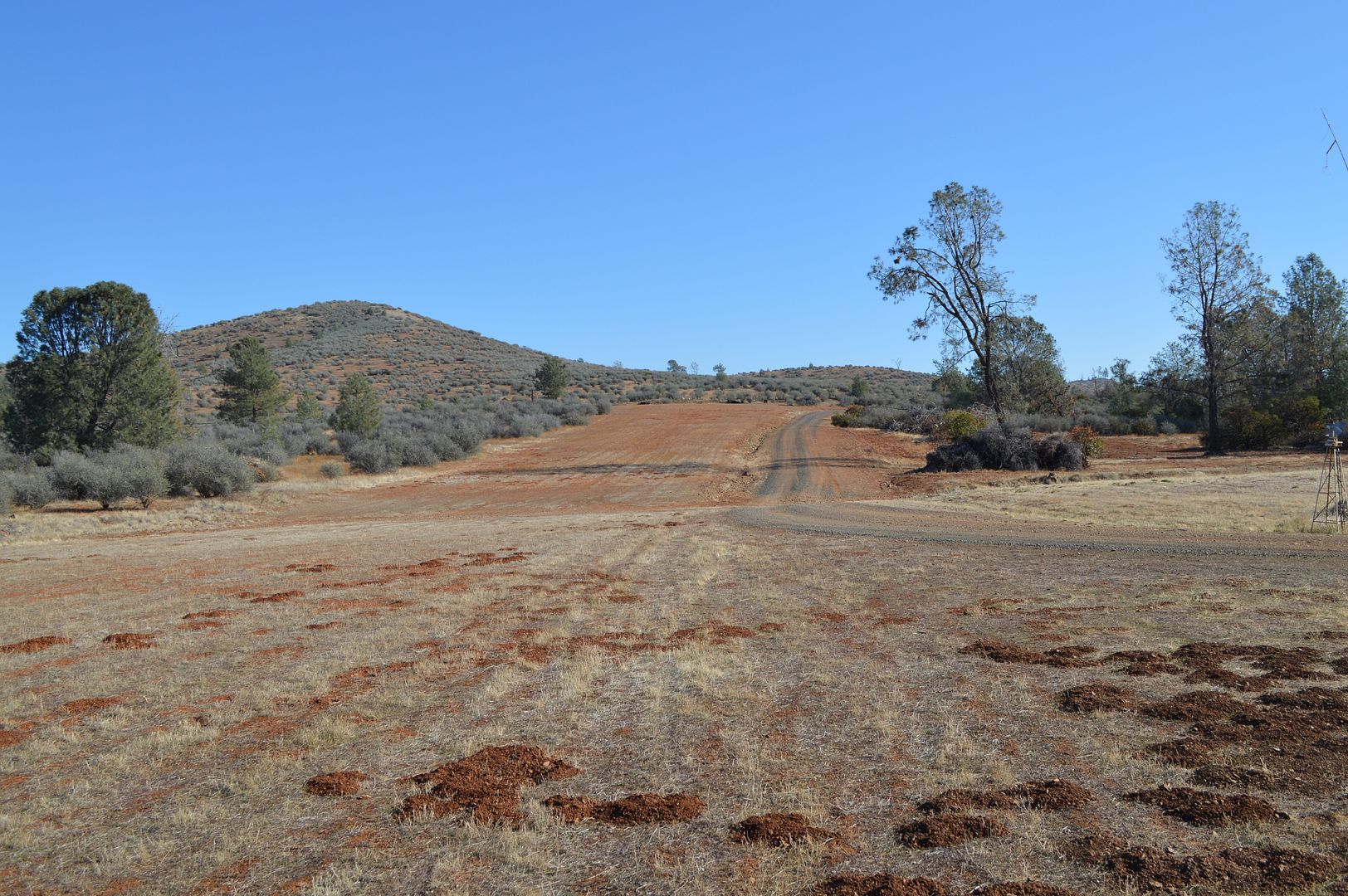 UPDATED: Cen Cal / Red Hills Fly in 5/17-5/18 - Page 2 of 5 ...