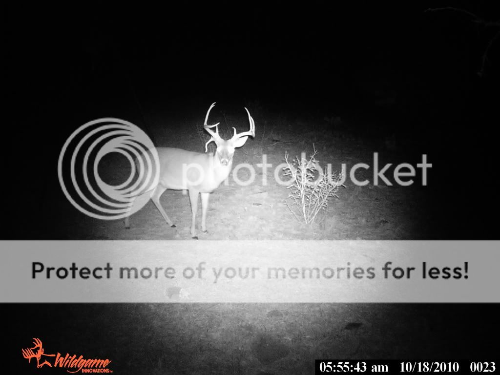 Age & Score Droptine Buck - TexasBowhunter.com Community Discussion Forums