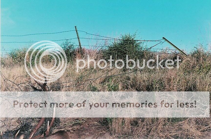 Rivals on opposite sides of the fence. | PRC Polaris Ranger Club