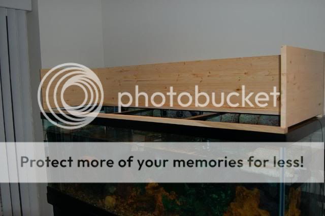 Redearslider.com :: View topic - Large basking area for 100 gal