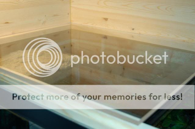 Redearslider.com :: View topic - Large basking area for 100 gal