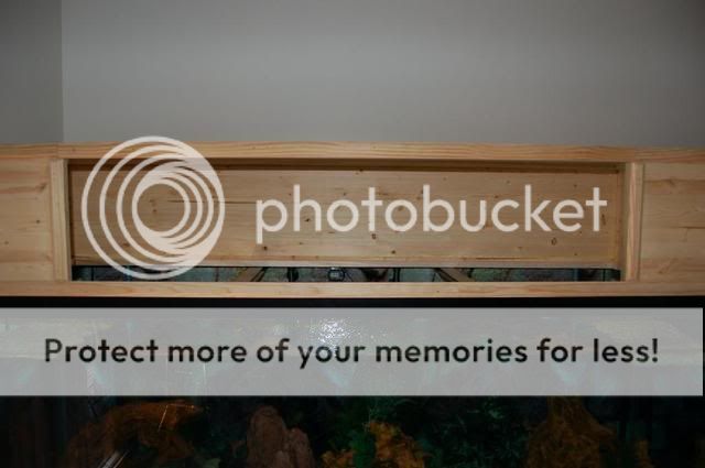 Redearslider.com :: View topic - Large basking area for 100 gal