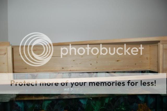 Redearslider.com :: View topic - Large basking area for 100 gal