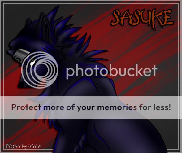 View topic - Naruto Wolf Pack! Join today! (my own idea!) OPEN ...